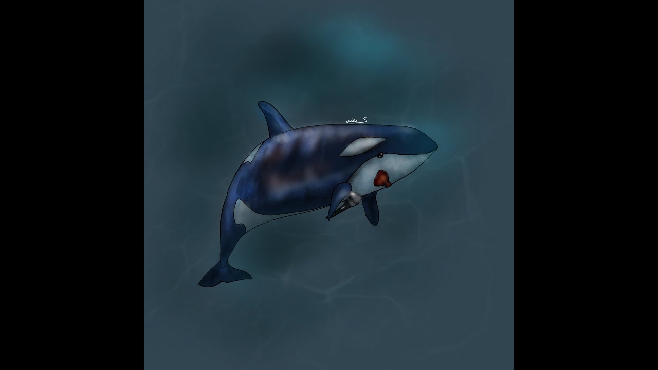 Procreate Orca Tutorial