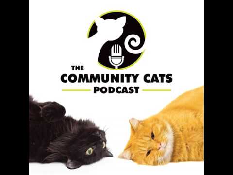 Ep94 - Stacey Carver