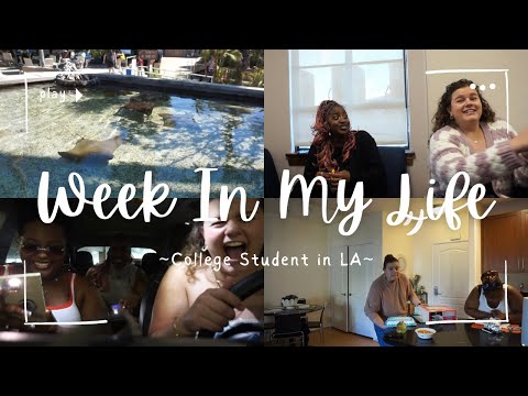 What its like as a BFA student in LOS ANGELES