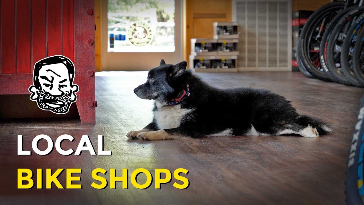 Should you support your local bike shop?