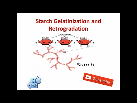 Starch Gelatinization and Retrogradation || Food Technology