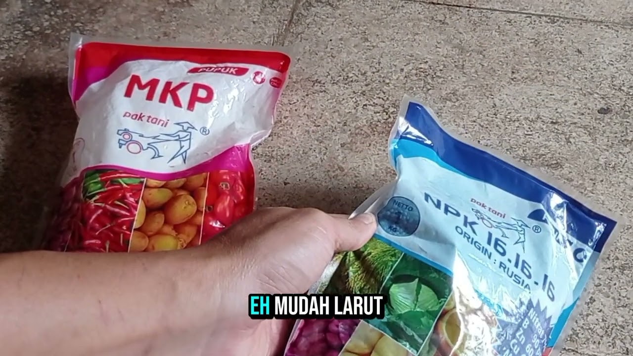 ADVANTAGES OF NPK 16 16 16 PAK TANI