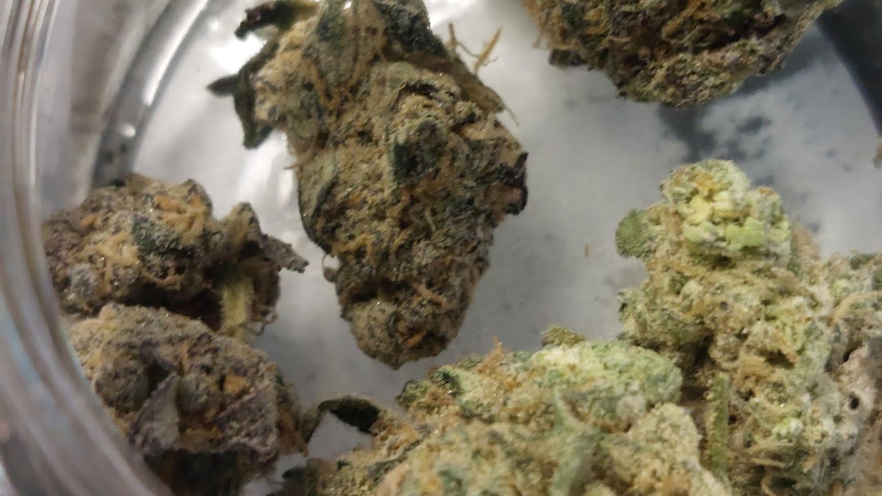 GUSH MINTS BUCKEYE RELIEF