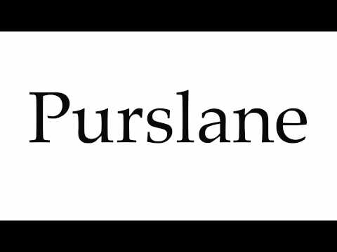 How to Pronounce Purslane