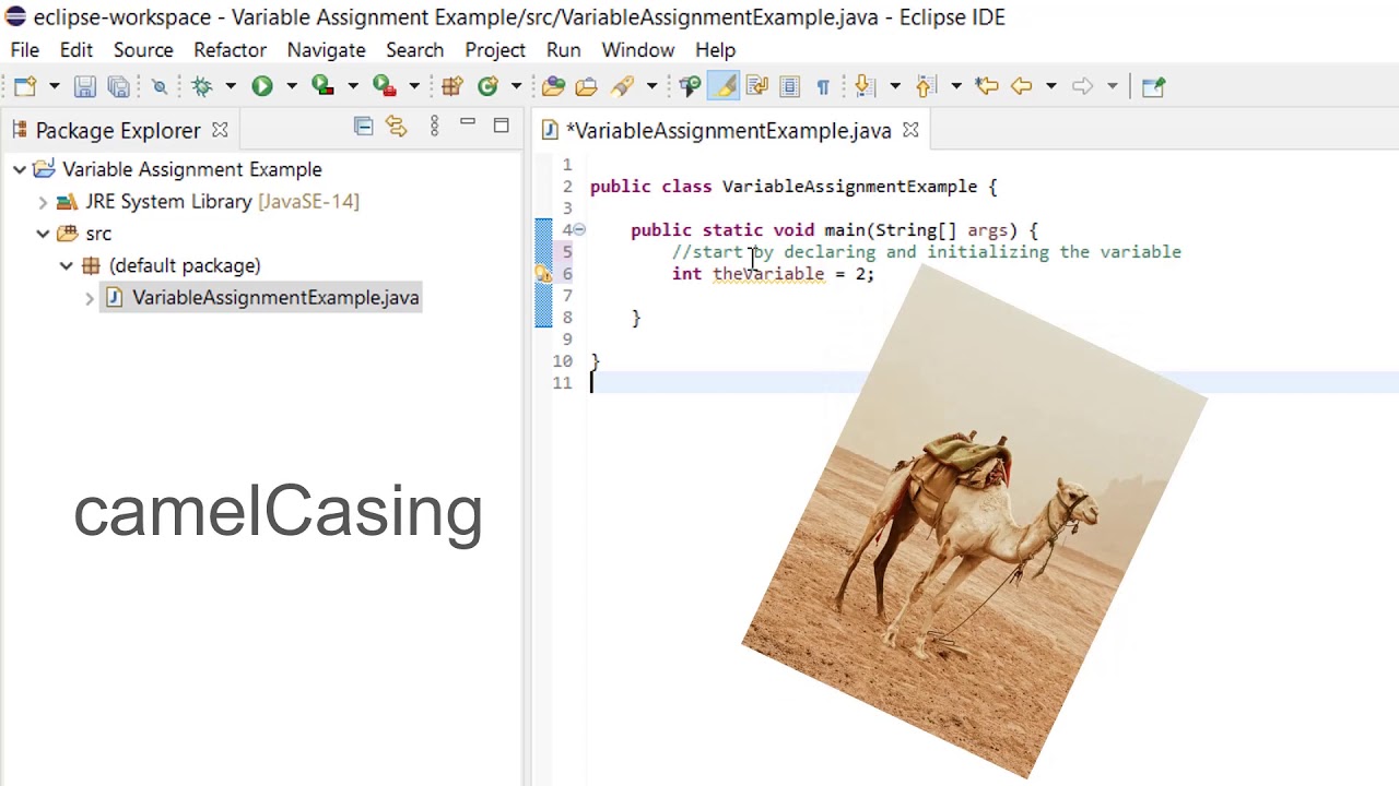 Java Variable Assignment