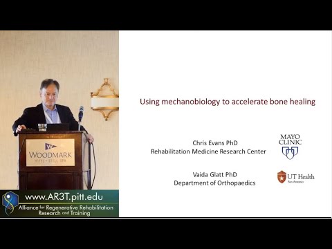 Using Mechanobiology to Accelerate Bone Healing