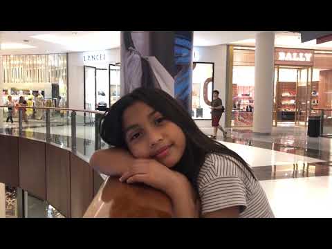 The Palm Jumeirah ft. The Dubai Mall