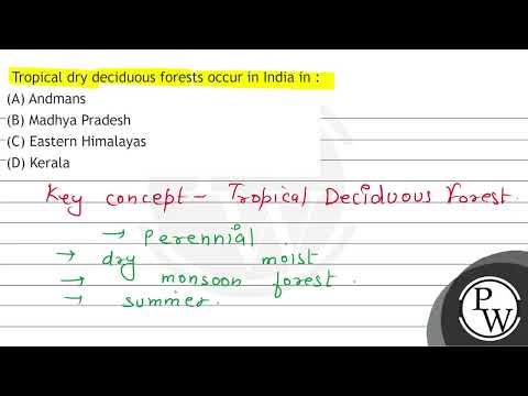 Tropical dry deciduous forests occur in India in : (A) Andmans (B) Madhya Pradesh (C) Eastern Hi...