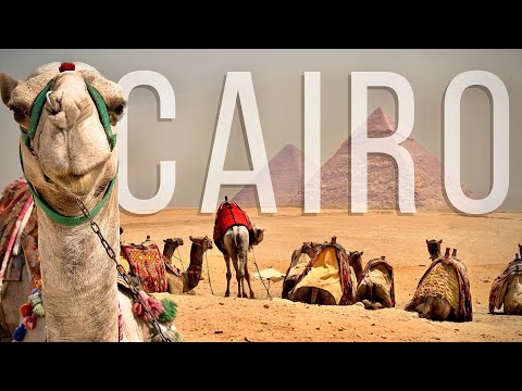Egypt | 2 days in Cairo | Pyramids | khan el khalili | Egyptian Museum