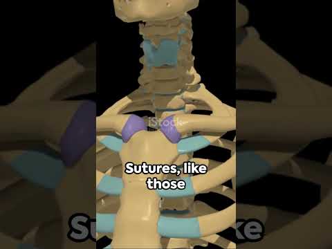 Fibrous Joints