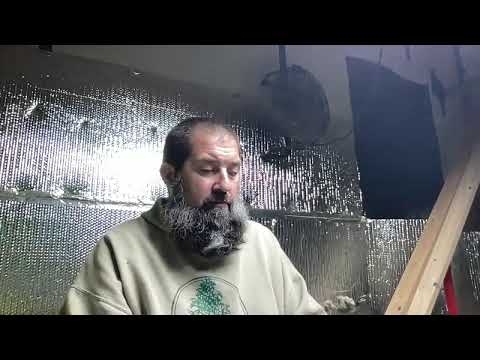 Day 2 Check In and More Trim Jail....