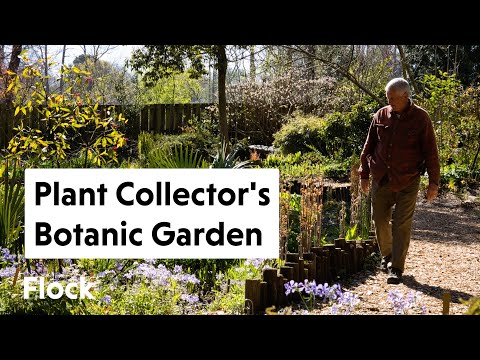 Tour 28-Acre PLANT COLLECTOR'S Botanic Garden — Ep. 250