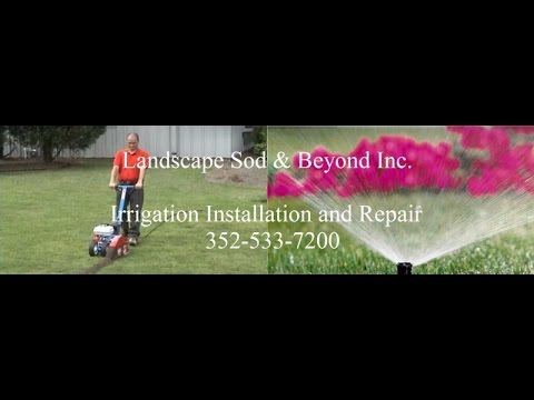 Irrigation Repair Ocala | Landscape Sod & Beyond 352-533-7200