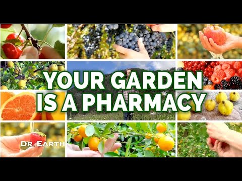 Home Grown Medicine