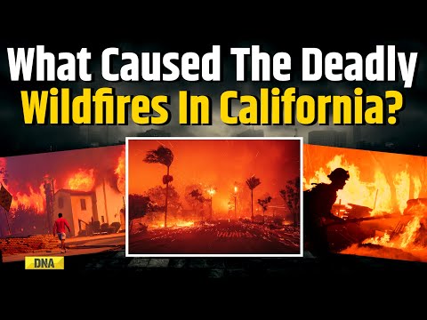 California Wildfire: What Is The Reason Behind Massive Wildfire? | US Wildfire Explained