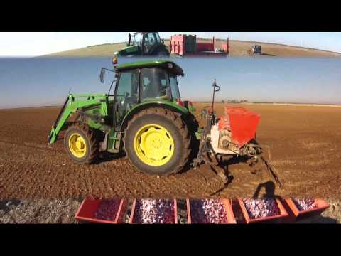 Garlic Planter at Best Price in India