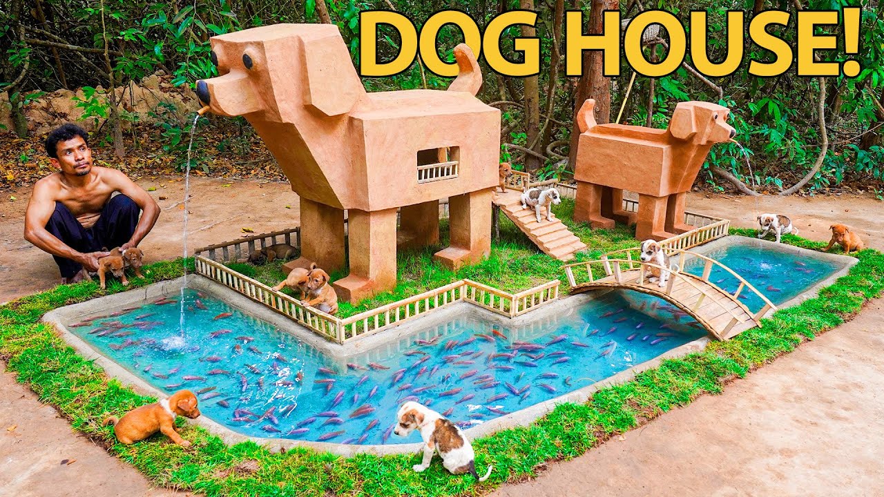 Building Dog Shaped Houses for Rescue Puppies – They Love It!