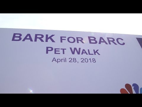 Bark for Barc Pet Walk