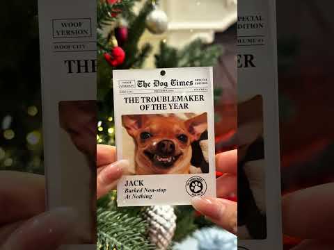 The Meow Times, The Dog Times | Troublemaker Of The Year | Personalized Acrylic Photo Ornament