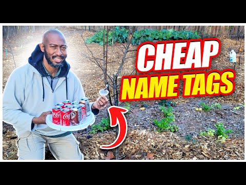 How to Make Garden Tags to Label Fruit Trees?