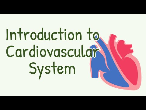 Introduction To Cardiovascular System || Heart, Blood Vessels, Structure, Function || Physiology
