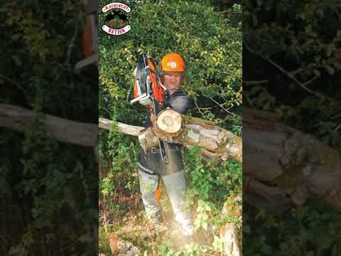 Amazon Chainsaw is a BEAST!