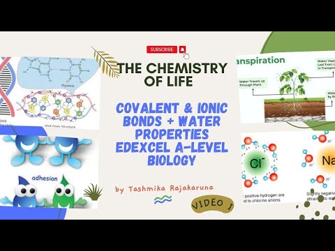 The Chemistry of Life | Covalent & Ionic Bonds + Water Properties | Edexcel A-Level Biology