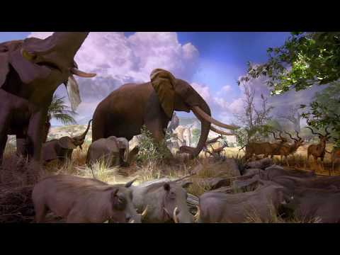 Tour Wonders of Wildlife with TNB