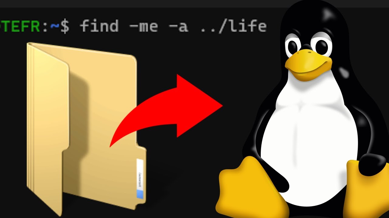 POV: You move files using linux