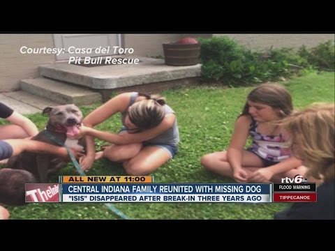 Indiana family reunited with stolen dog thanks to Facebook post