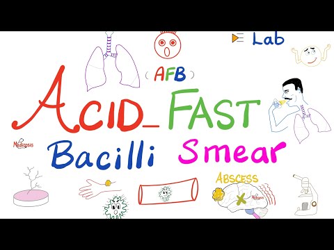 Acid Fast Bacilli Smear (AFB smear) for tuberculosis (TB) | Labs ๐งช