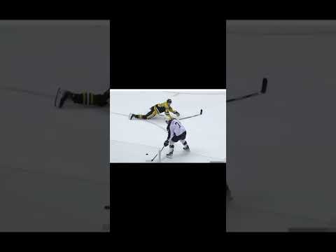 Penguin Antics: Pittsburgh's NHL Team Brings the Fun!