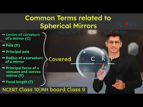 Common terms related to Convex & Concave Mirrors | NCERT Class 10 Allern Active