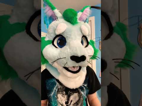 ????PSA????:Critiquing Prices #fursuit #fursuitmaker #psa #prices #furry #smallbusiness #theraptorslair