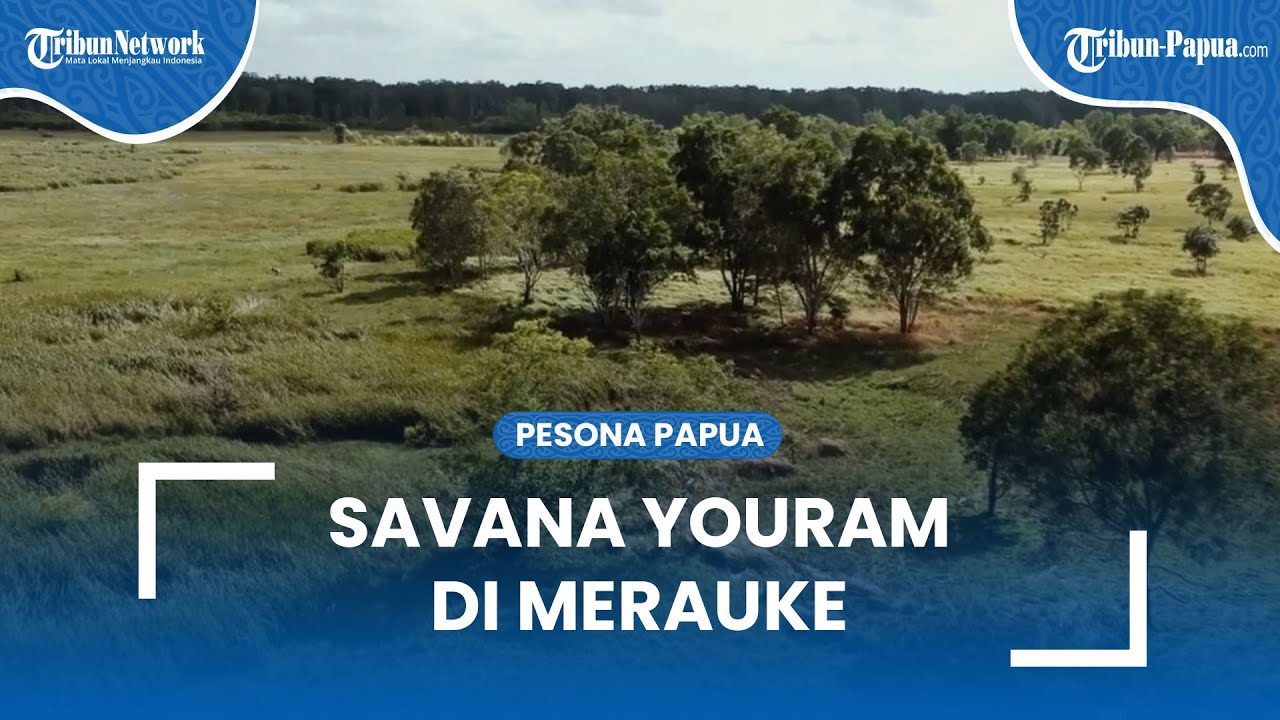Melihat Indahnya Savana Youram di Kawasan Taman Nasional Wasur Merauke ...