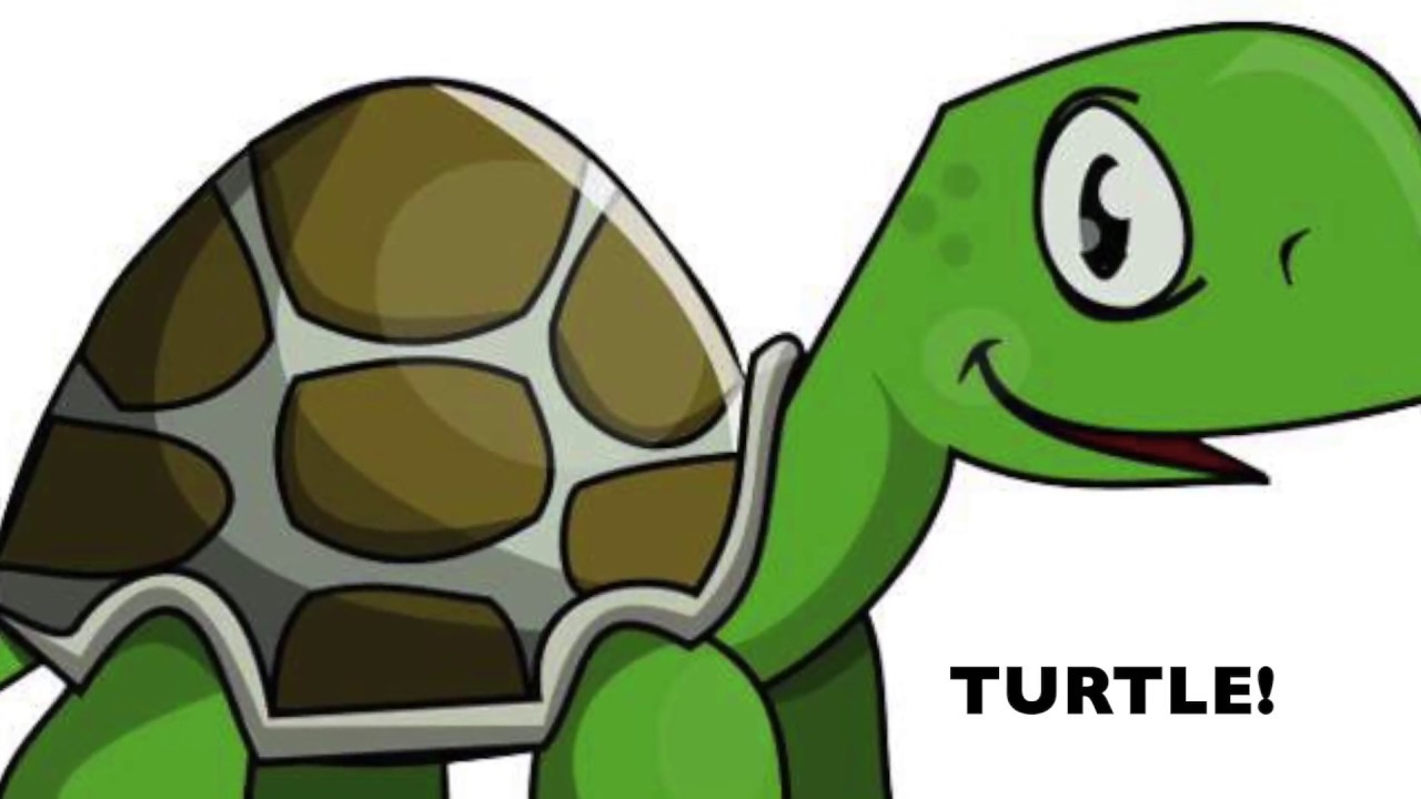 Learn Python Coding with Turtle