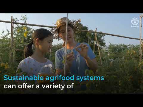 What are agrifood systems?
