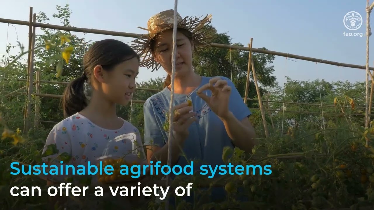 What are agrifood systems?