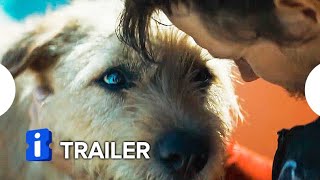 Arthur Amigo Para Sempre filme - Onde assistir