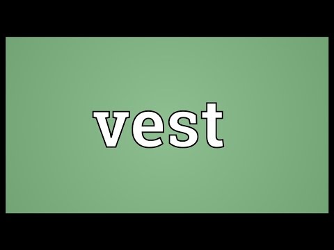 Vest Meaning