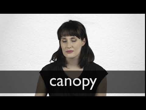 How to pronounce CANOPY in British English