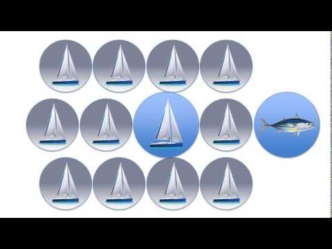 What is EIA?
