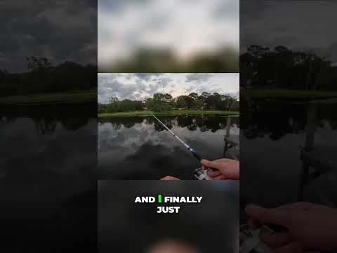 Get Hooked on Fishermen's Funny Slang!