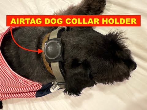 APPLE AIRTAG FOR PETS DOGS or CATS - AirTag Dog Collar Holder