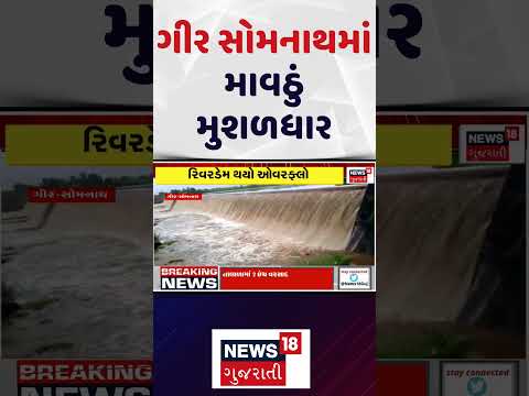 Gir Somnath News : ગીર સોમનાથમાં માવઠું મુશળધાર Gujarati Samachar | News18 #shorts