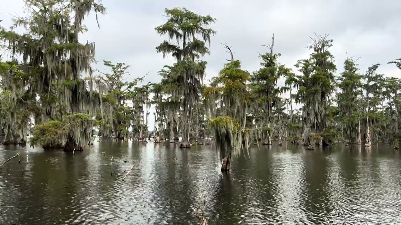 Luisiana - Atchafalaya National Wildlife Refuge @robertavalleri337