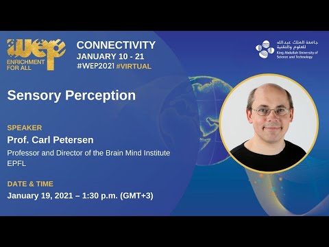 Sensory Perception