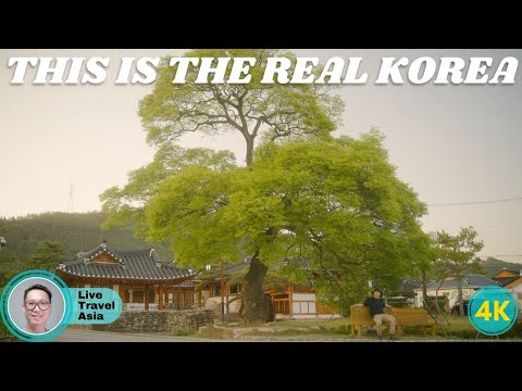 The Real Korea is Jeollado - Most Underrated Destination in Asia!