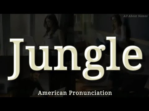 Jungle: American Pronunciation, Meaning, and Usage in Sentences