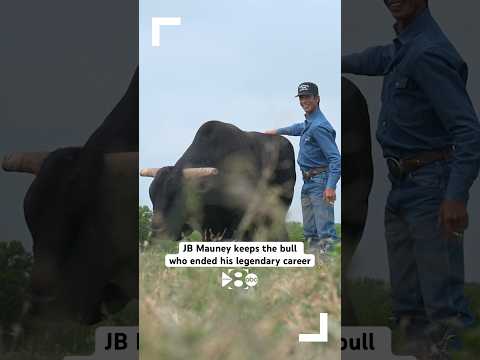 Bull rider J.B. Mauney broke his neck on Arctic Assassin, but thereโs no hard feelings